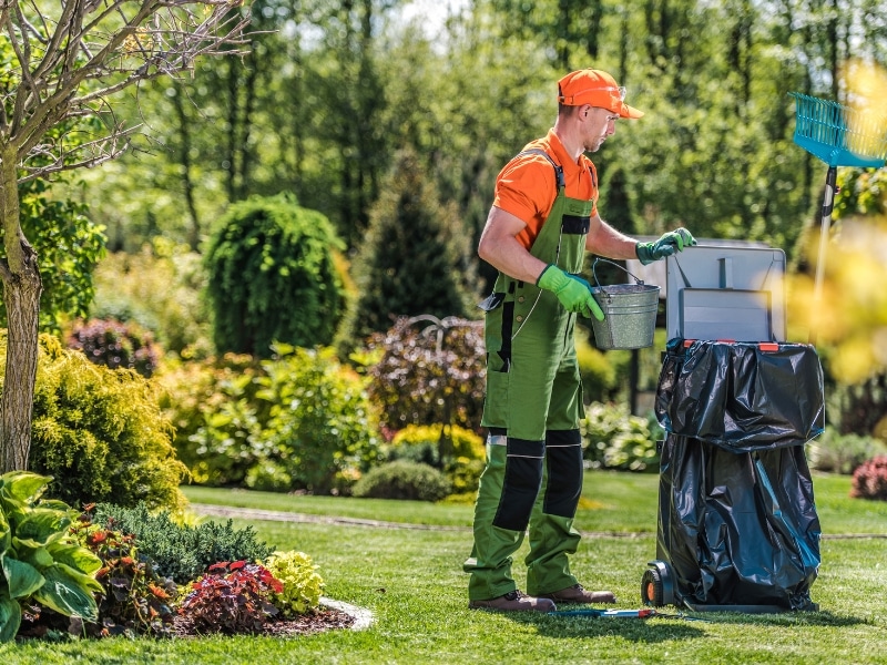 Best Garden Maintenance Plan for Seasonal Care